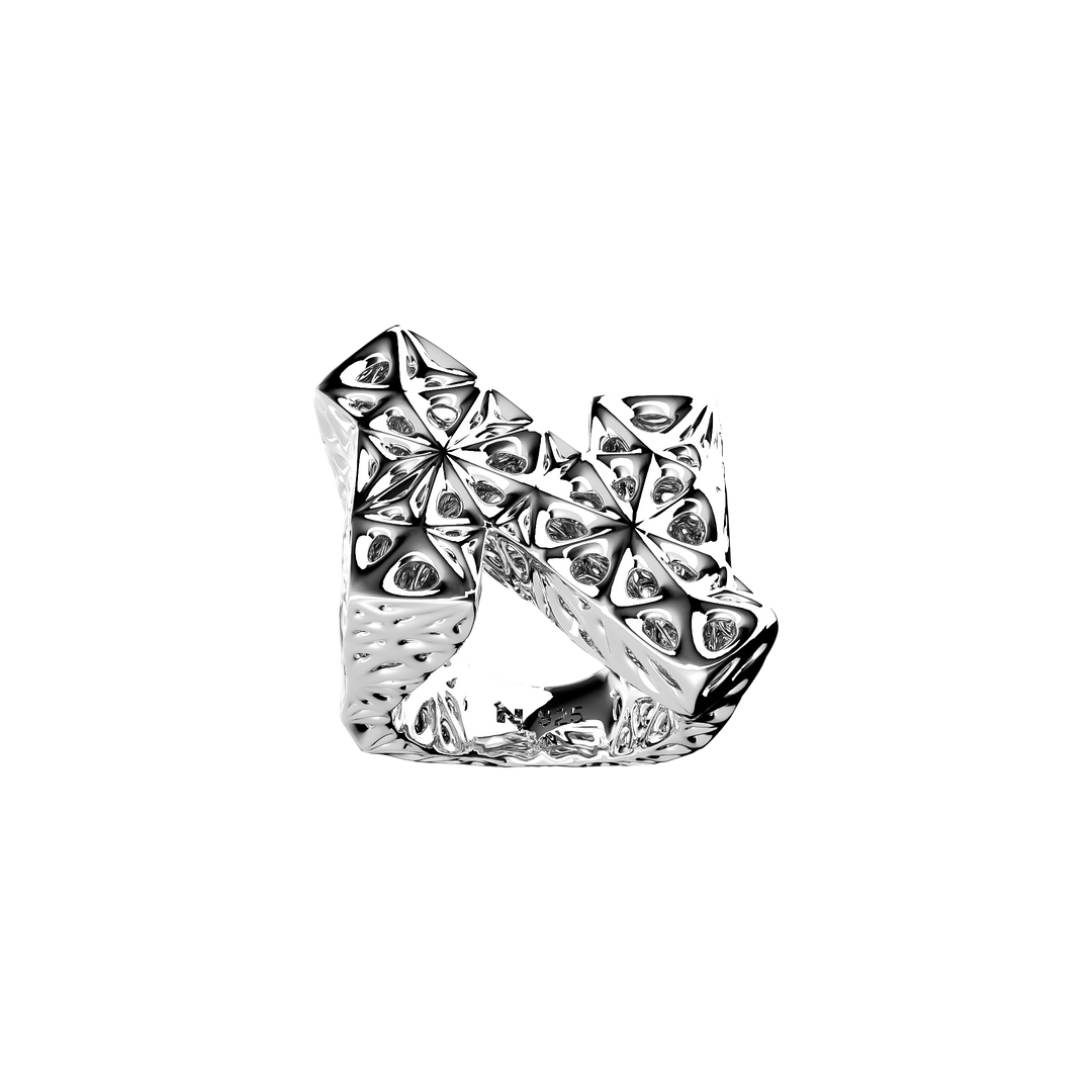 NonExamples - 3D Printed Fashion